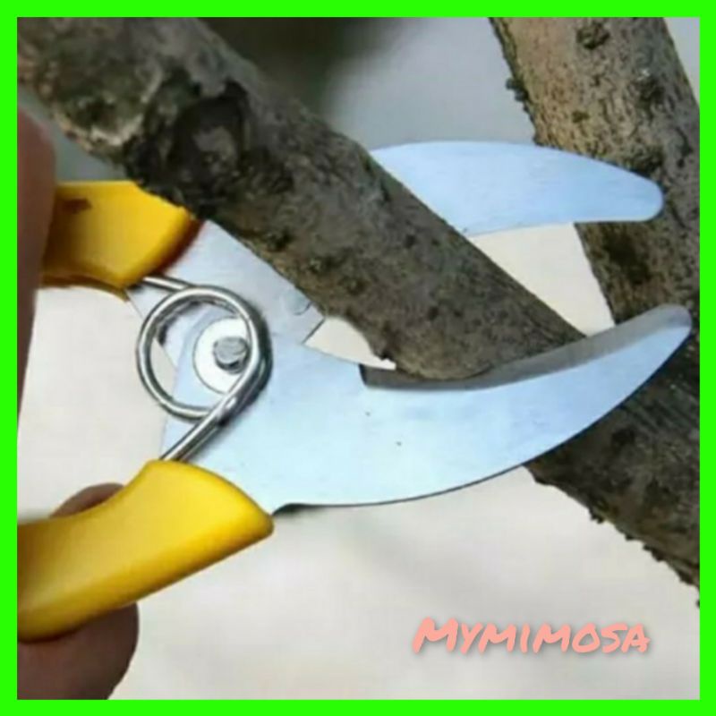 Cutter For Plant Air Layering Shear Prunning Trimming Scissors Pisau ...