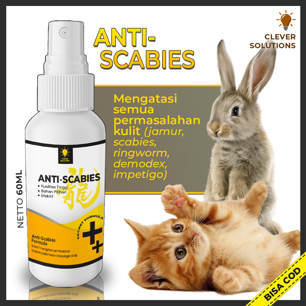 Cat Fungus Medicine SCABIES Demodex Impetigo - Parasite Flea Fungus ...