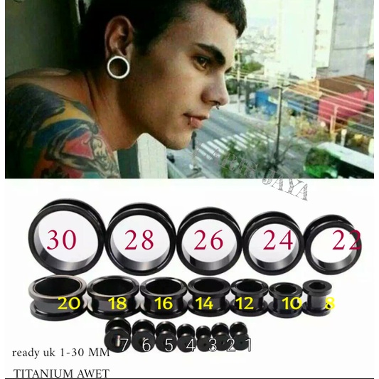 Titanium ear pirsing/iron plug/ear casing/piercing plug/ear expander ...