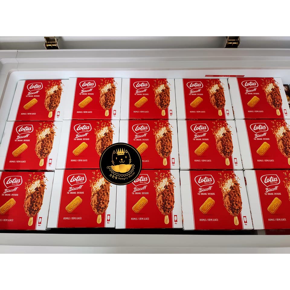 (Ready Stock) Lotus Biscoff Ice Cream Mini / Stick / Tub / Cake ...