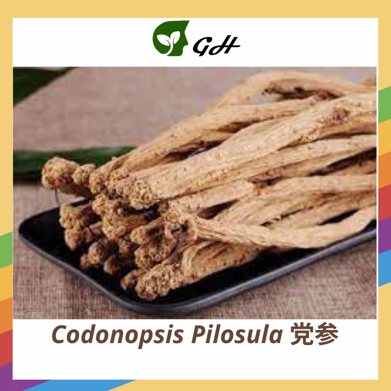 [GH Centre 贵和养生] Dang Shen Codonopsis Pilosula (No Sulphur) /无硫纹党参 ...