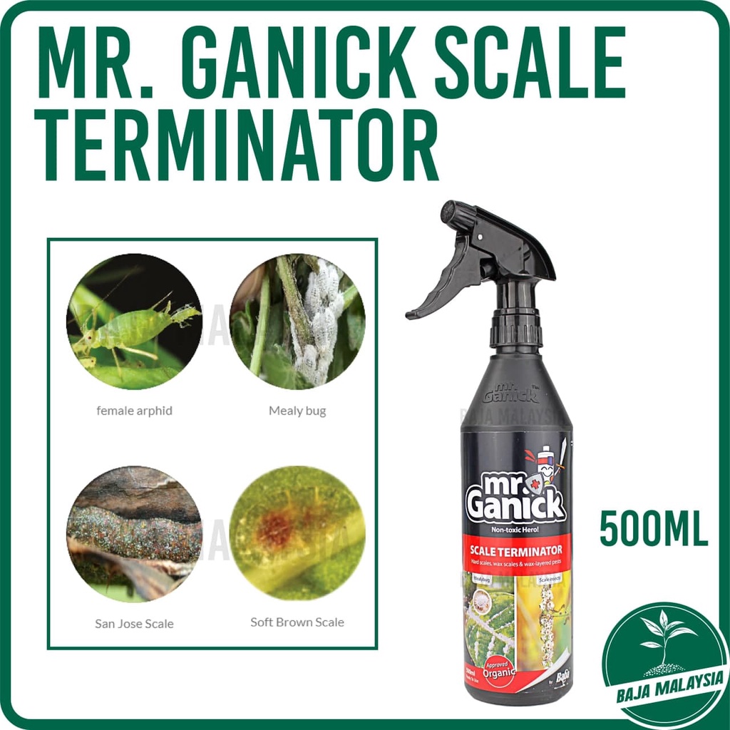 BABA (Mr.Ganick) Scale Terminator 500ML Organic Pesticide Mealy Bug ...