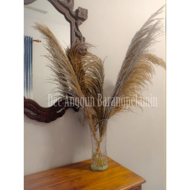 daun pampas kering daun hiasan setangkai | Shopee Malaysia
