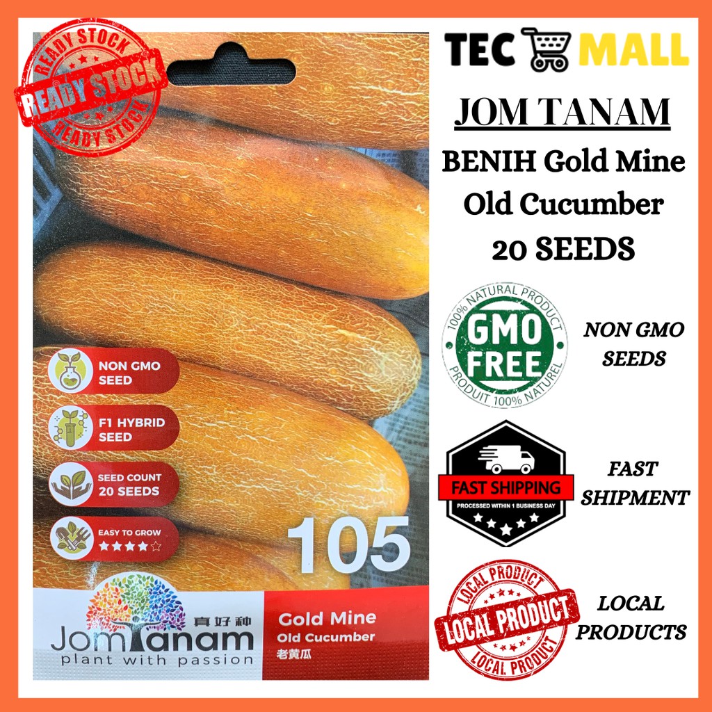 (Ready Stock)Jom Tanam Benih Gold Mine Old Cucumber(老黄瓜) / Benih Timun ...