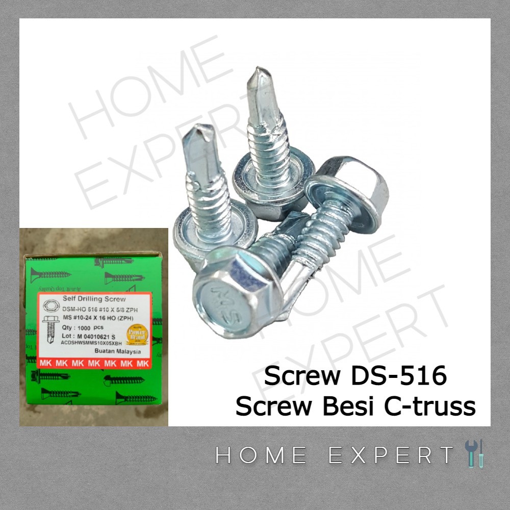 (100 PCS) DS-HO 516 #8 x 5/8 SELF DRILLING SCREW / Screw Besi Channel ...