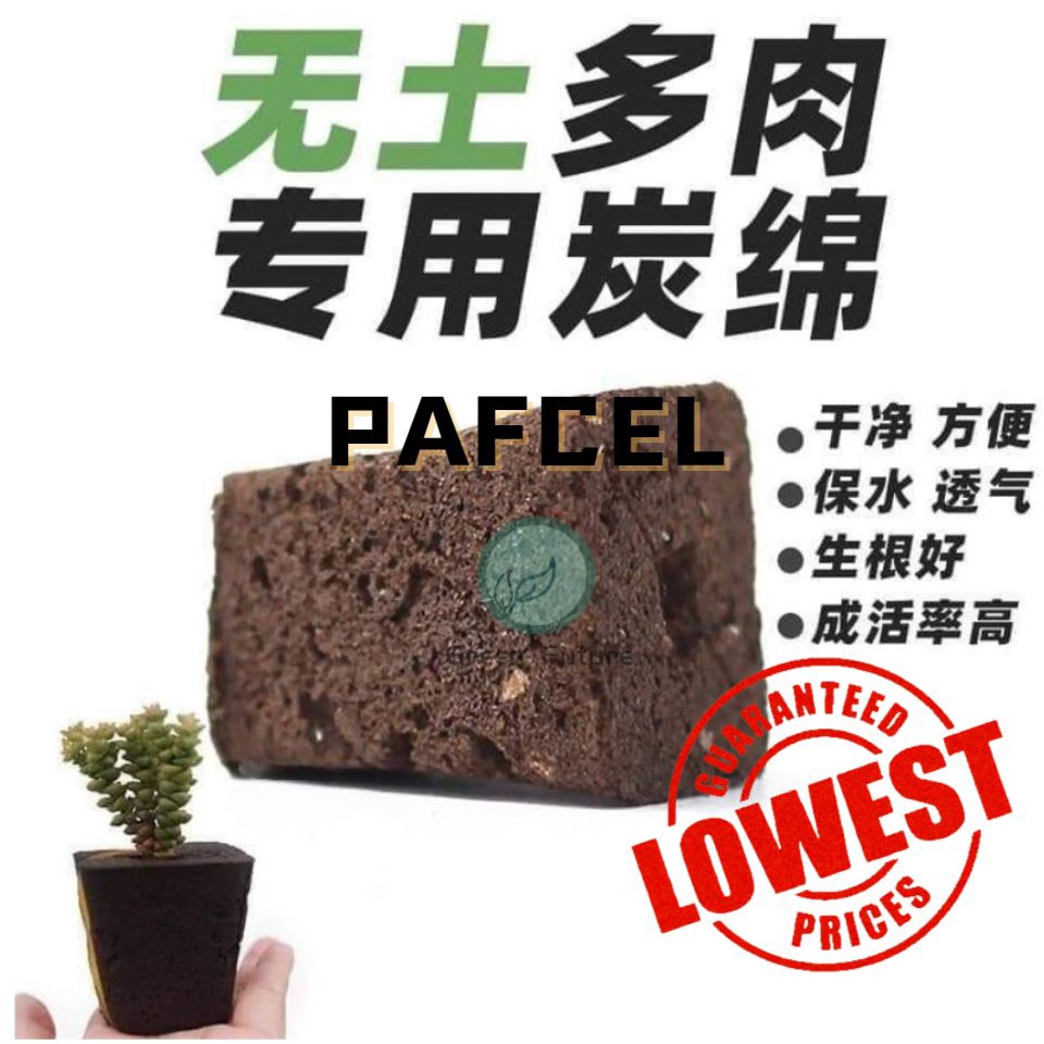 无土海绵 日本进口pafcal chips original Japan organic soil free seed propagation ...