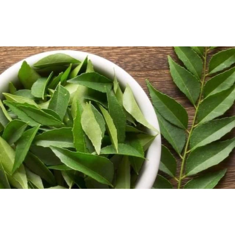 Daun Kari @ Curry Leaves 💯 Fresh | Shopee Malaysia