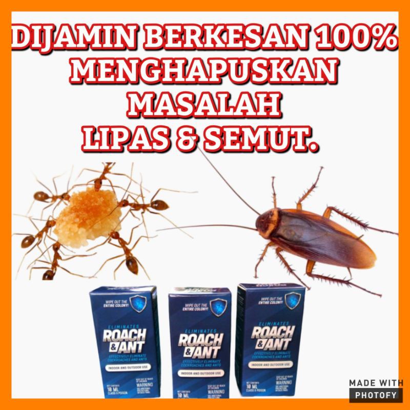 🔥HOT SELLING🔥 UBAT LIPAS & SEMUT ‼️100% DIJAMIN BERKESAN | Shopee Malaysia