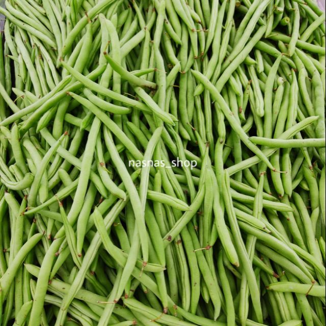 Biji Benih Kacang Buncis 15pcs Pole Bean Seeds Vegetable Seed Vege ...