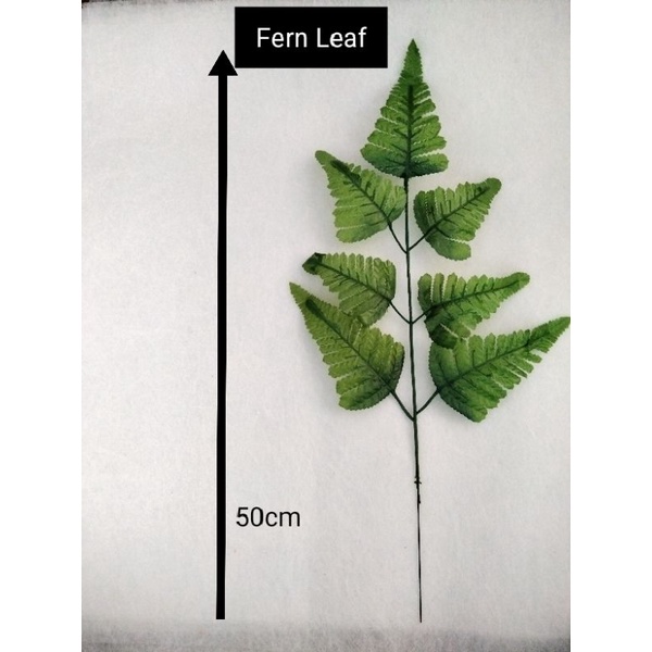 Daun paku pakis/Fern leaf 🌿/Daun Hiasan 🌿ready stock | Shopee Malaysia