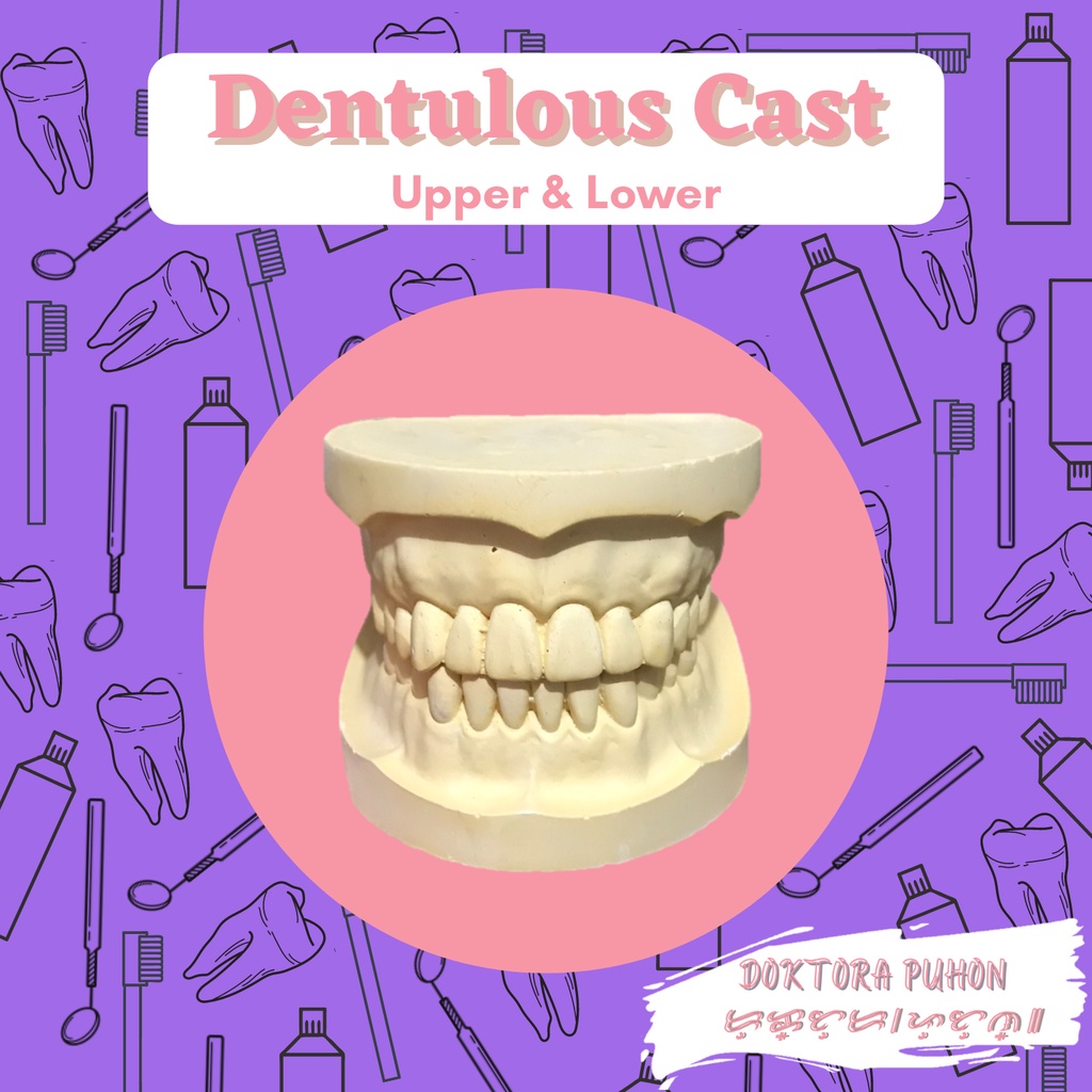 Dentulous Cast (Upper and Lower) | Shopee Malaysia