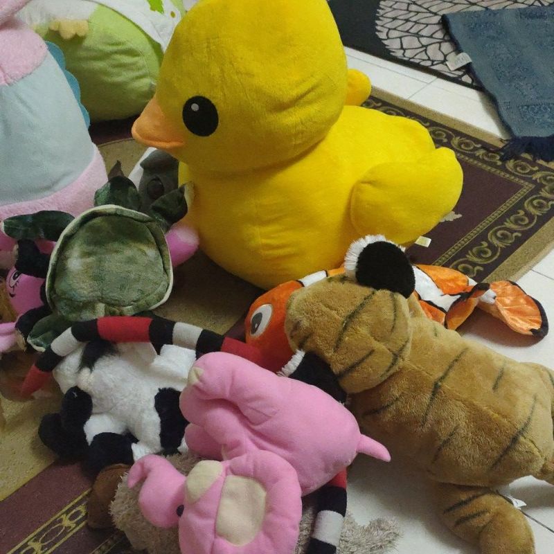 Soft toys lock di live ( aiyuu ) | Shopee Malaysia