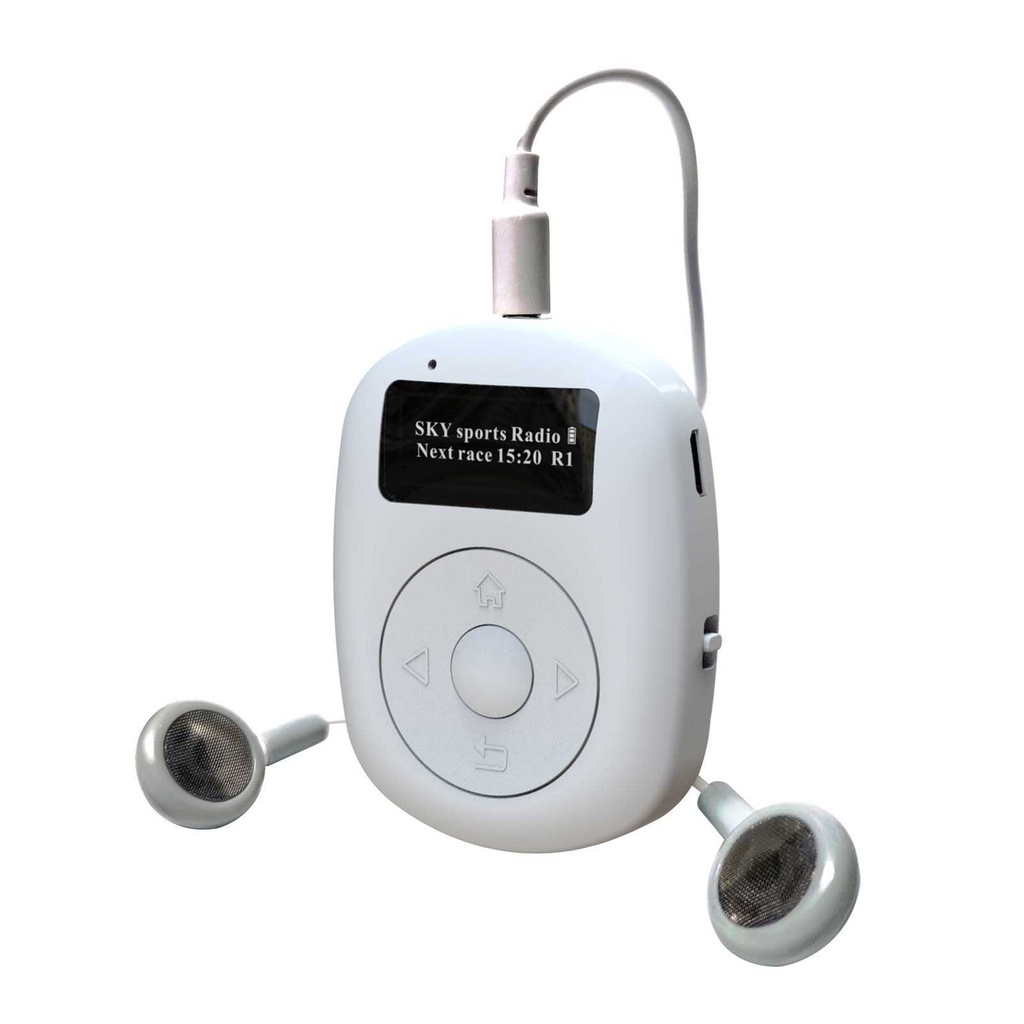 Digital DAB & FM Radio with BT, Portable Digital Radio Rechargeable ...