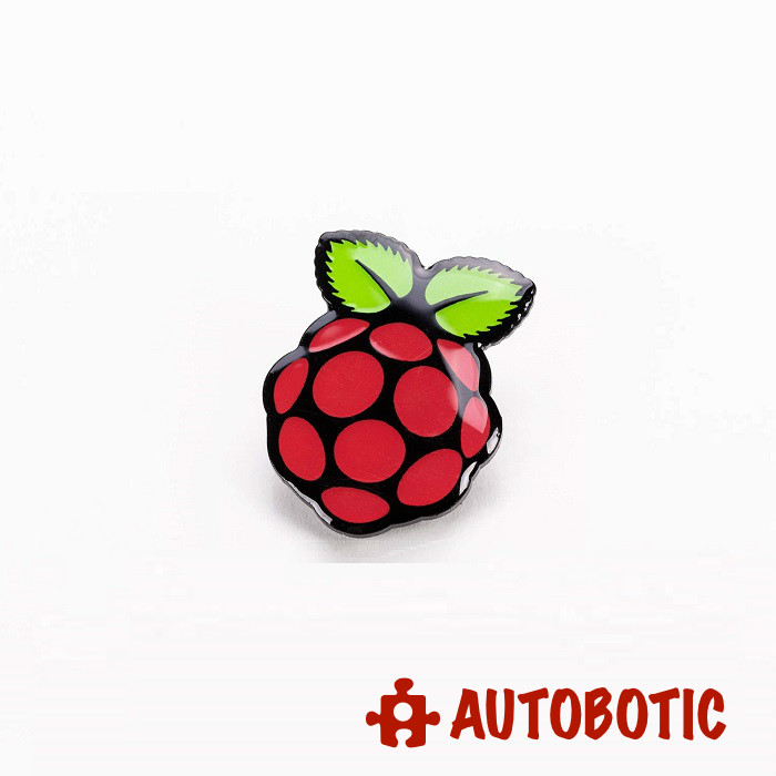 Official Raspberry Pi Pin Badge | Shopee Malaysia