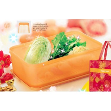 Tupperware Large Modular Keeper with Grid 9.4L (1PC) | Shopee Malaysia