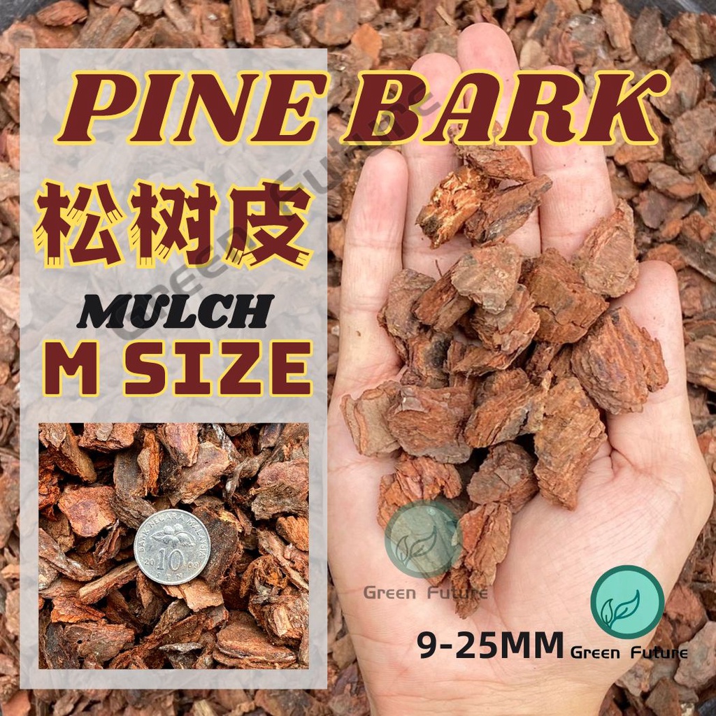 5 Litre M size PINE BARK/ Pine scale Orchid potting MURCH Pine Bark ...