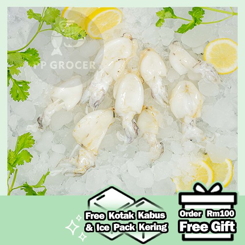 PP GROCER Isi Sotong Katak Cuttlefish Meat (400G±/PKT) Sotong Frozen ...