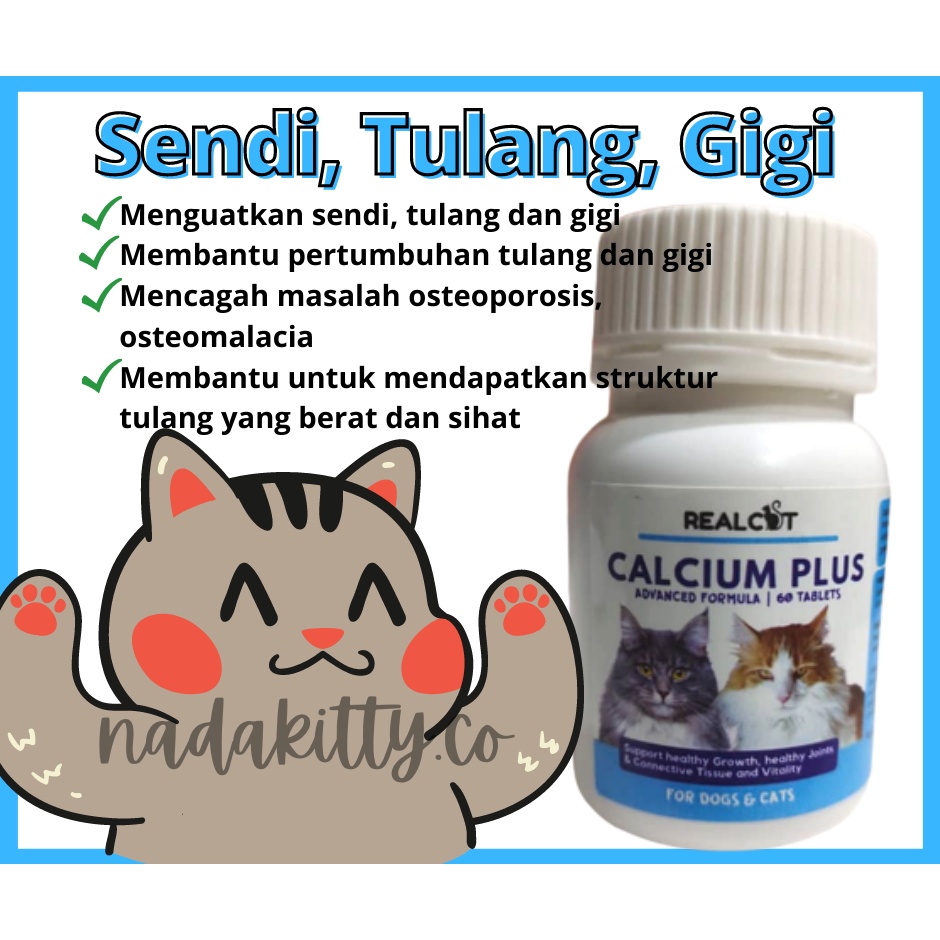 Kalsium Kucing Cat Pet Calcium Kuatkan Tulang Gigi Sendi 60 tablet ...