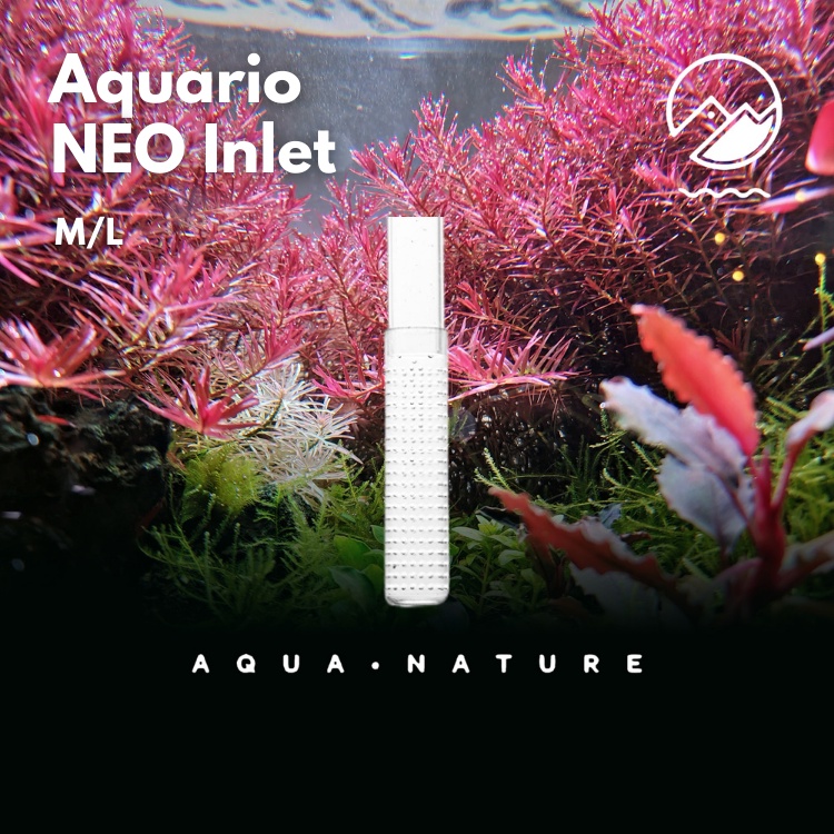 Aquario Neo Inlet Shrimp Guard M/L (Product of Korea) (Shrimp/Baby Fish ...