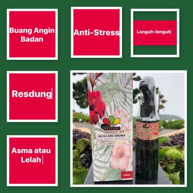 Muscare Aroma Herbal Essential Oil 150 ML Asma/AntiStress / AnginBadan ...