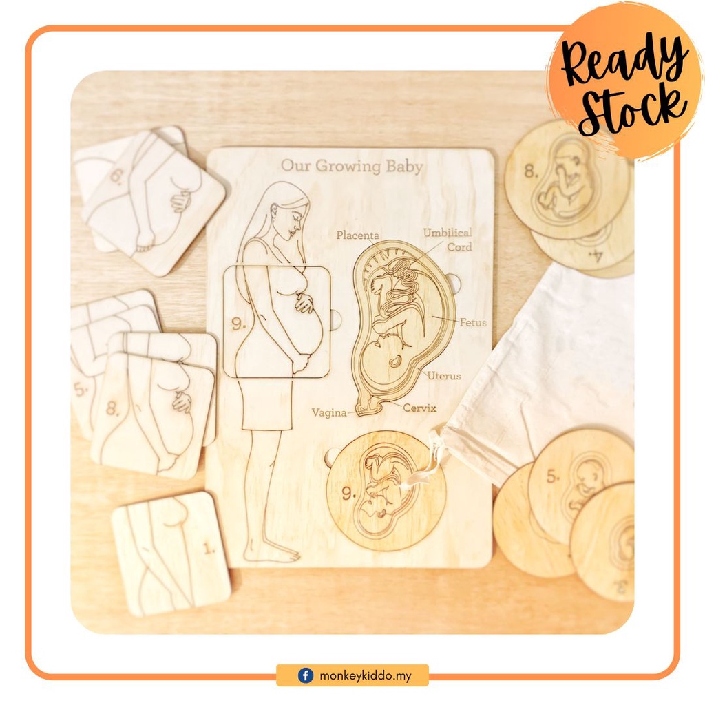Our Growing Baby Puzzle Pregnancy Puzzle Montessori Foetus Diagram ...