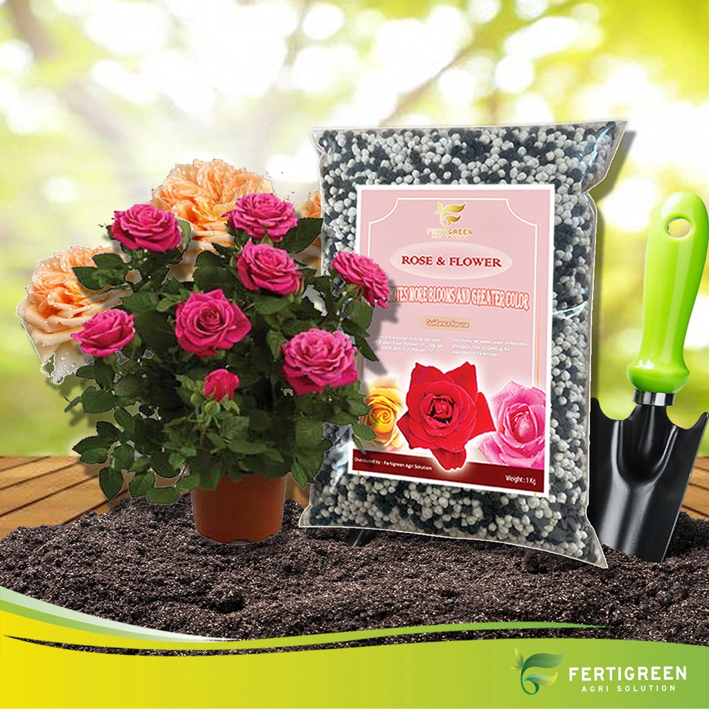 (1KG) BAJA ROSE / ROSE FERTILIZER (BAJA KHAS ROSE / SPECIAL FORMULATED ...