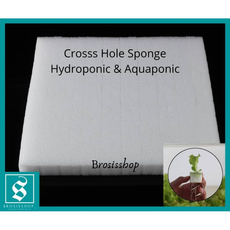 (100 Cube) Germination Cross Sponge Hydroponic & Aquaponic | Shopee ...