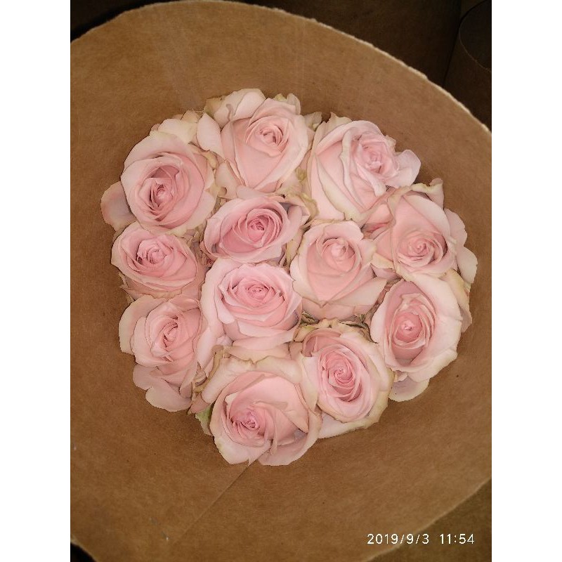 🌹Ready Stock 🌹 Roses 🌹20stalks🌹 Fresh Flower From Cameron Highlands 🌹🌹 ...
