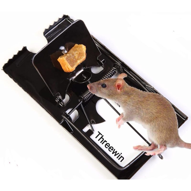 *L861 Big Size AA Steel Mouse Trap Tax 🐭 Trap Pengapit Perangkap Tikus ...