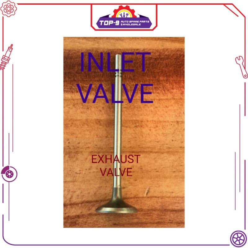 PW811080 PW811081 OEM Engine Valve (Intake/Exhaust) - BLM, Exora, Gen2 ...