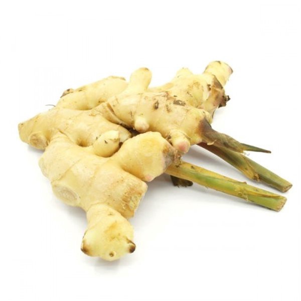 Halia Muda - 300 gram | Shopee Malaysia