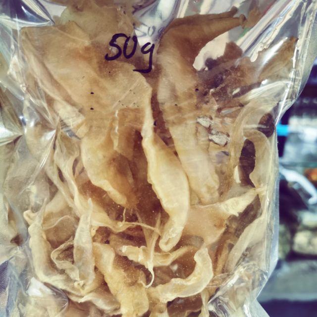 鱼胶 isinglass (fish glue) | Shopee Malaysia