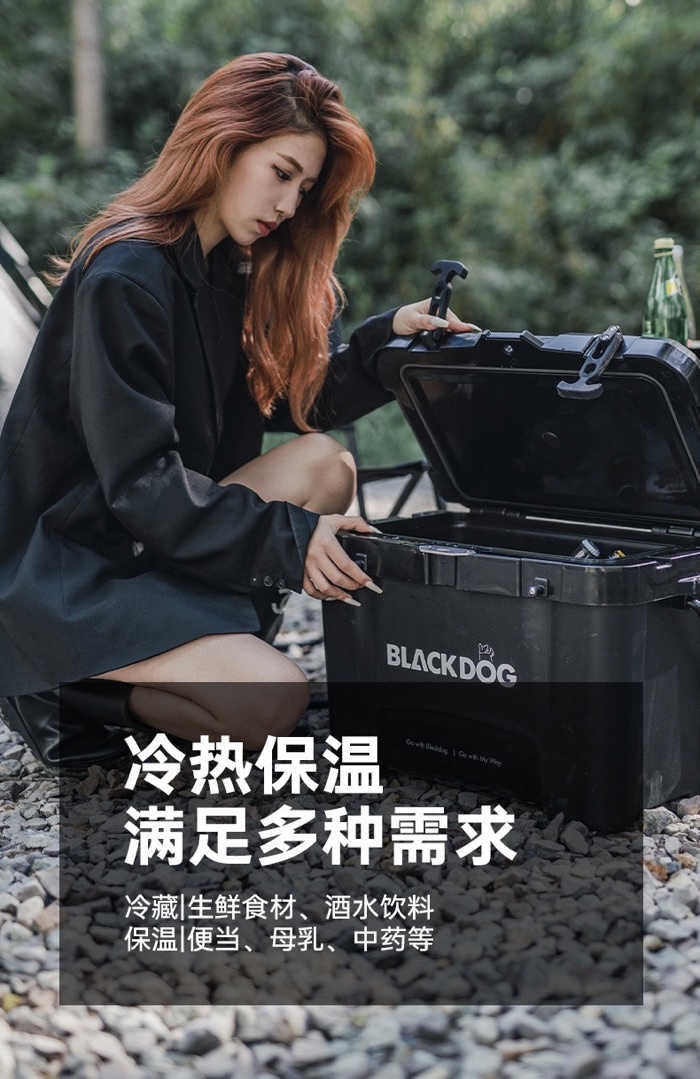 BLACKDOG NEW 26L Portable Cooler Box Outdoor Insulation Box Camping ...
