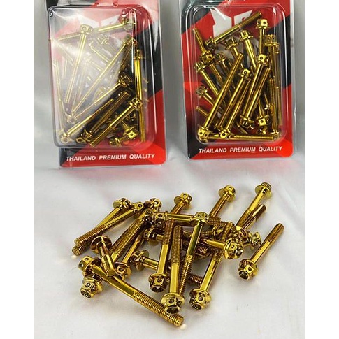 KING DRAG LC135 5S ENGINE COVER SCREW SET ( TITANIUM/GOLD) | Shopee ...