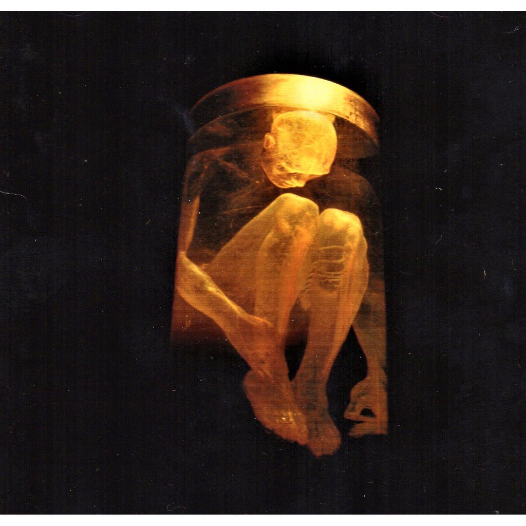 Alice In Chains - Nothing Safe: Best Of ( CD ) | Shopee Malaysia