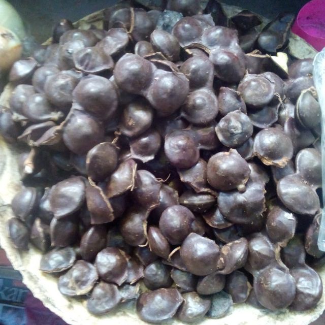 BUAH JERING FRESH / ULAM JERING / JERING MUDA READY STOCK | Shopee Malaysia