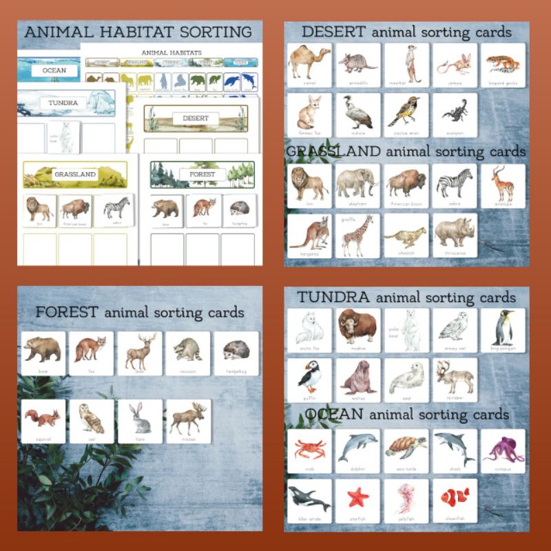 [Laminated] SORTING ANIMAL 5 PAGES busy book & quiet book for kid early ...