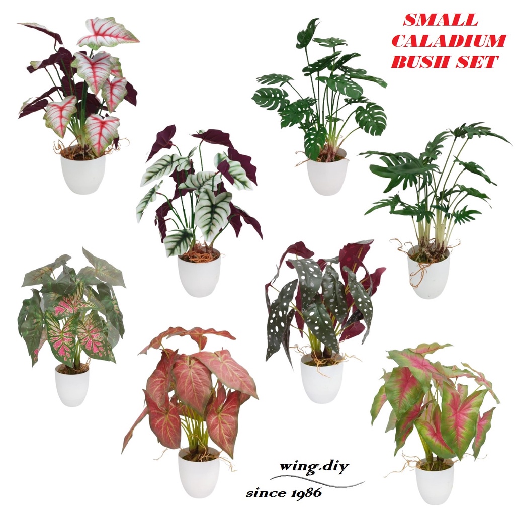 [READY STOCK] ARTIFICIAL CALADIUM BUSH WITH PLASTIC POT (1 SET ...