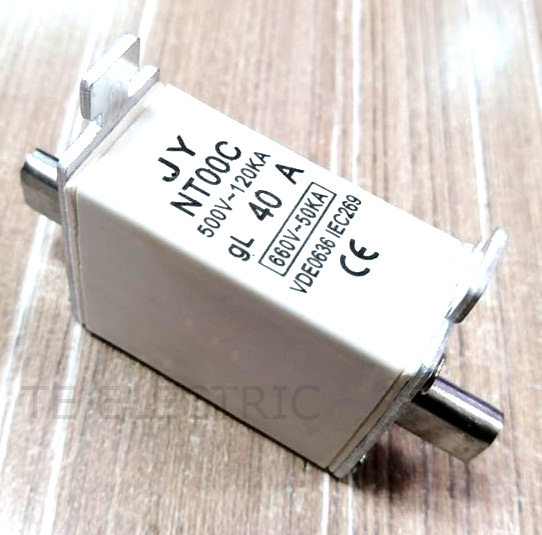 NT00 / NH00 40A 500V 120KA BLADE FUSE CERAMIC CUT OUT FUSE | Shopee ...