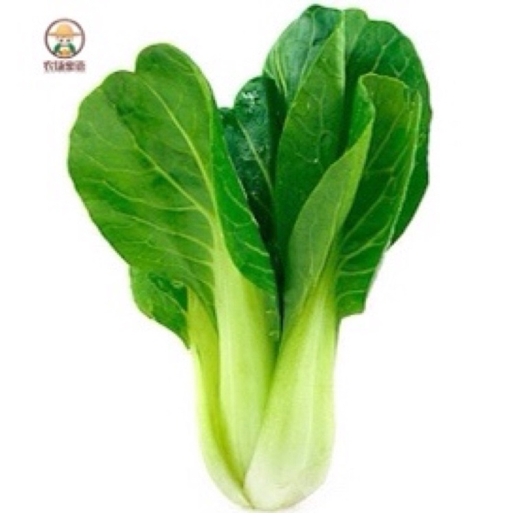 20PCS | Sweet Heart Farm Biji Benih | Vegetable Seed | SAYUR | Siew Pak ...