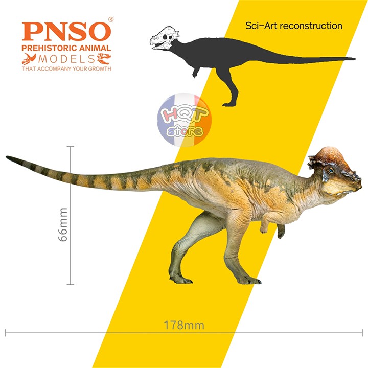 Genuine 1/35 scale Pachycephalosaurus Ausin PNSO 46 2020 dinosaur model ...