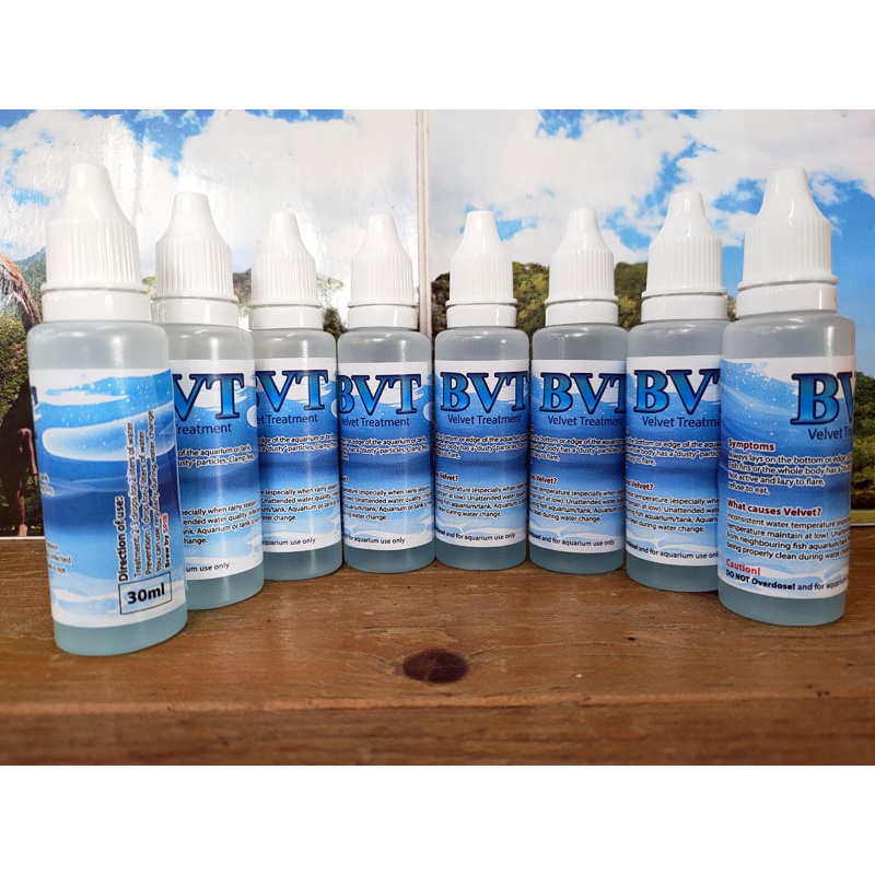 BVT Velvet Treatment for Betta Fish (Opening Promotion) - Wholesales ...