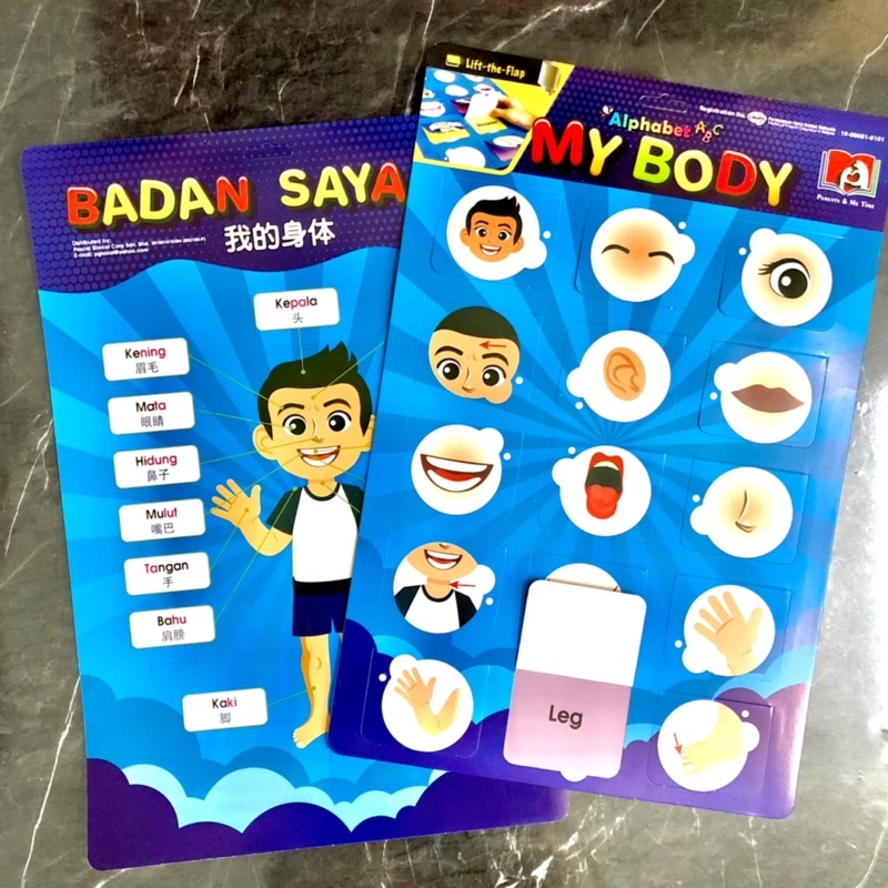 Early Learning My Body Parts Poster | Shopee Malaysia