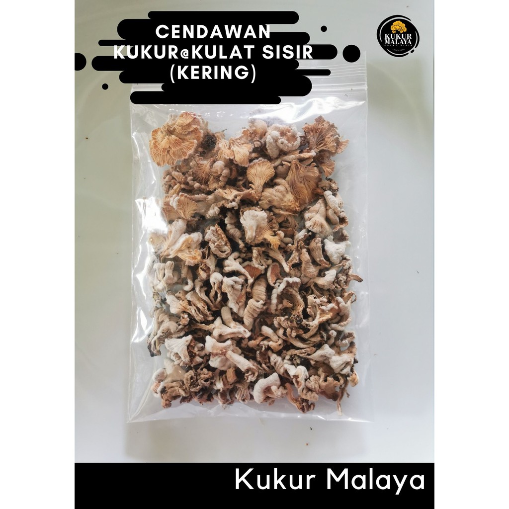 Cendawan kukur@kulat sisir kering(READY STOCK) | Shopee Malaysia