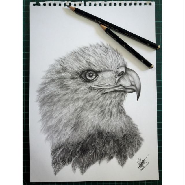 The Eagle (Original pencil drawing by Steph Phang) | Shopee Malaysia