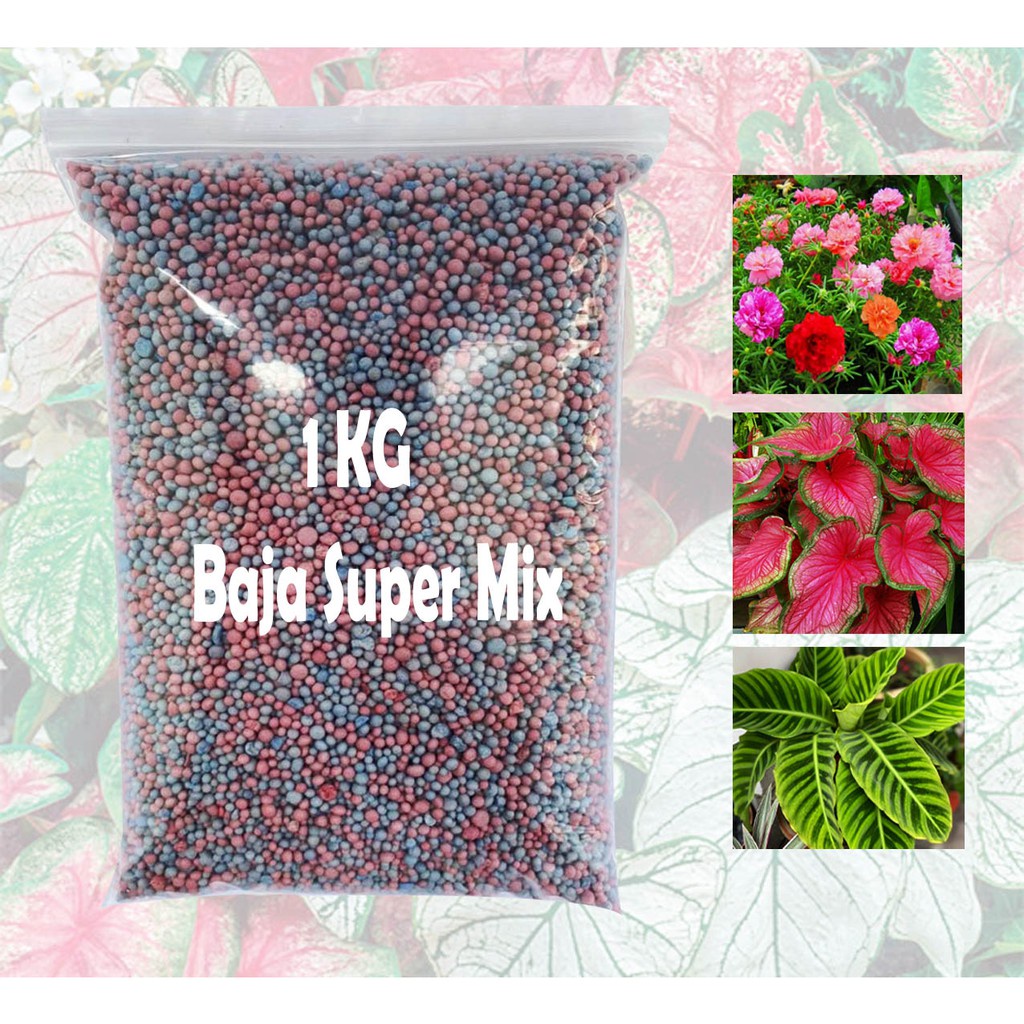 1kg Baja Super Mix / Baja Mix Subur/Bunga/Buah Paksa Gemuk | Shopee ...