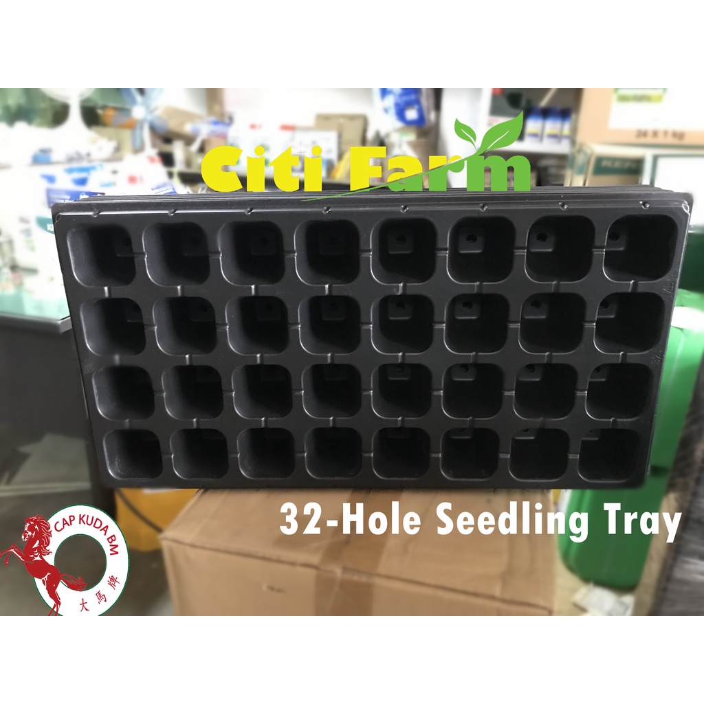 +32-Hole Seedling Tray Semaian Plastic Nursery Seed Germination City ...