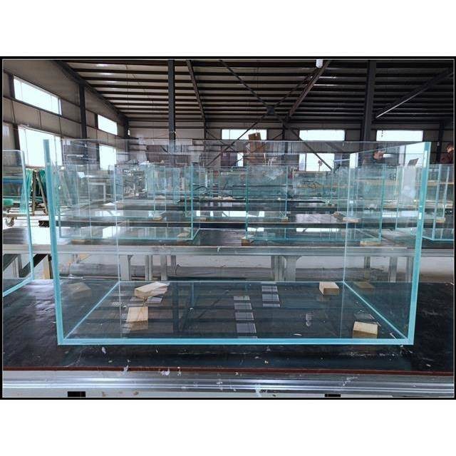Akuarium Emas Crystal Ultra-White Fish Fish Cylinder disesuaikan untuk ...