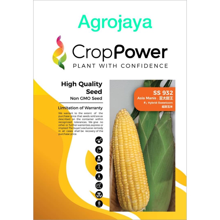 ASIA MANIS SS932 Crop Power Biji Benih Jagung Sangat Manis F1 Hybrid ...