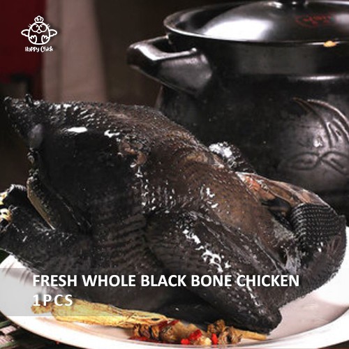 Fresh Premium Whole Black Bone Chicken | 高品质新鲜乌鸡 | Shopee Malaysia